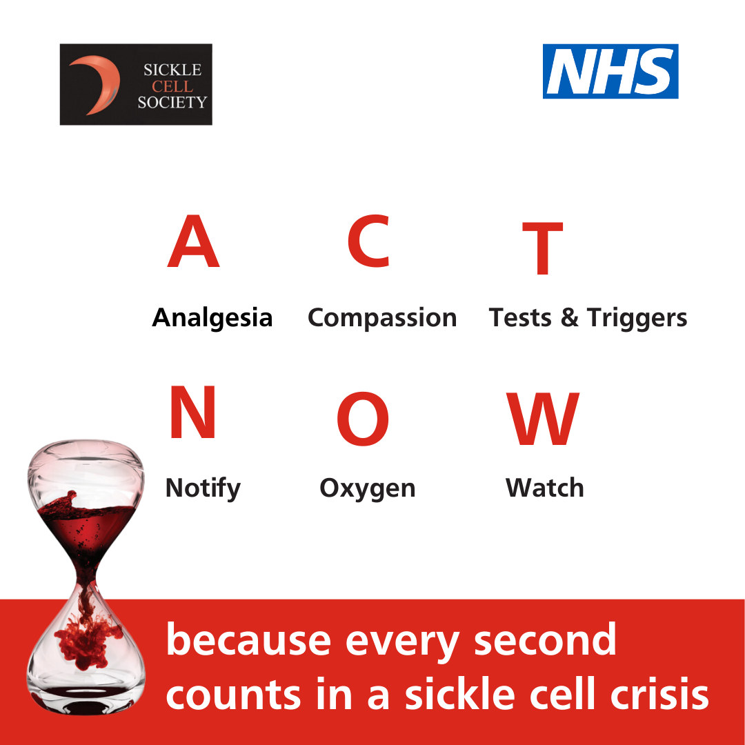 Black History Month 2024 | South London Cardiovascular Networks
